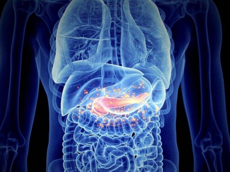 Pancreatitis Treatment in Pune | Pancreatitis - Dr. Manoj Dongare